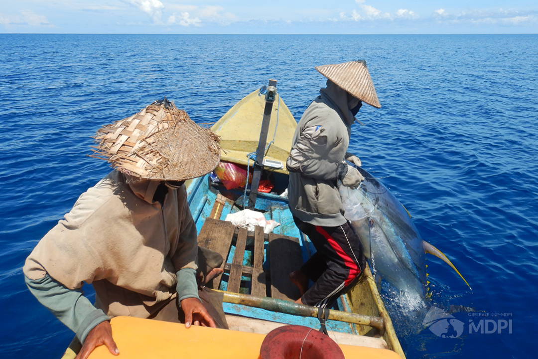 Mengulik Harvest Strategy Tuna di Indonesia - MDPI