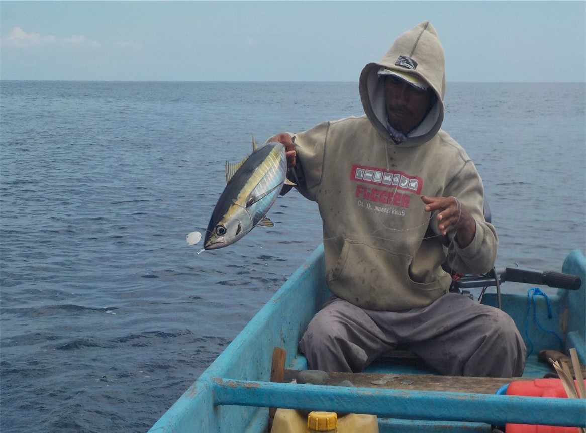 Benarkah Pancing Ulur Tuna Ramah Lingkungan? - MDPI